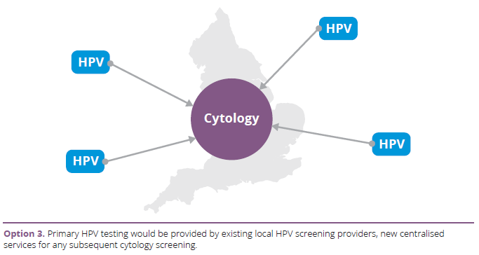 Deciding how best to roll out HPV testing as the primary cervical ...
