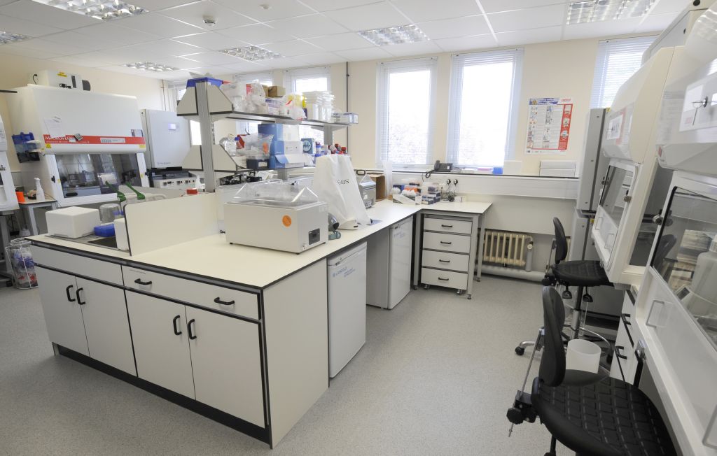 EQA (external quality assessment) in cervical screening: what’s it all ...