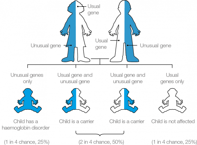 Updated sickle cell and thalassaemia screening handbook published – PHE ...