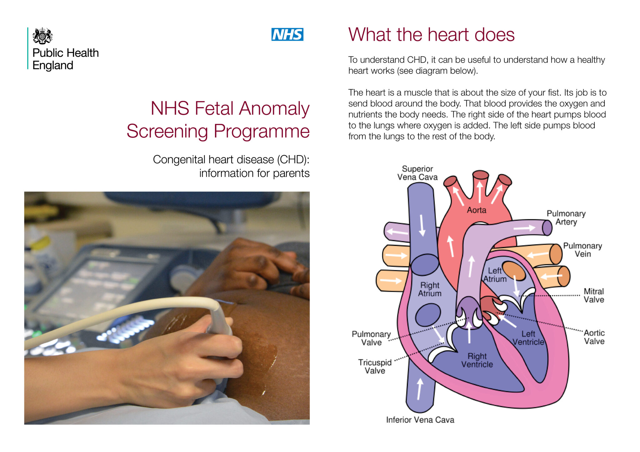 NHS Fetal Anomaly Screening Programme – Page 8 – PHE Screening