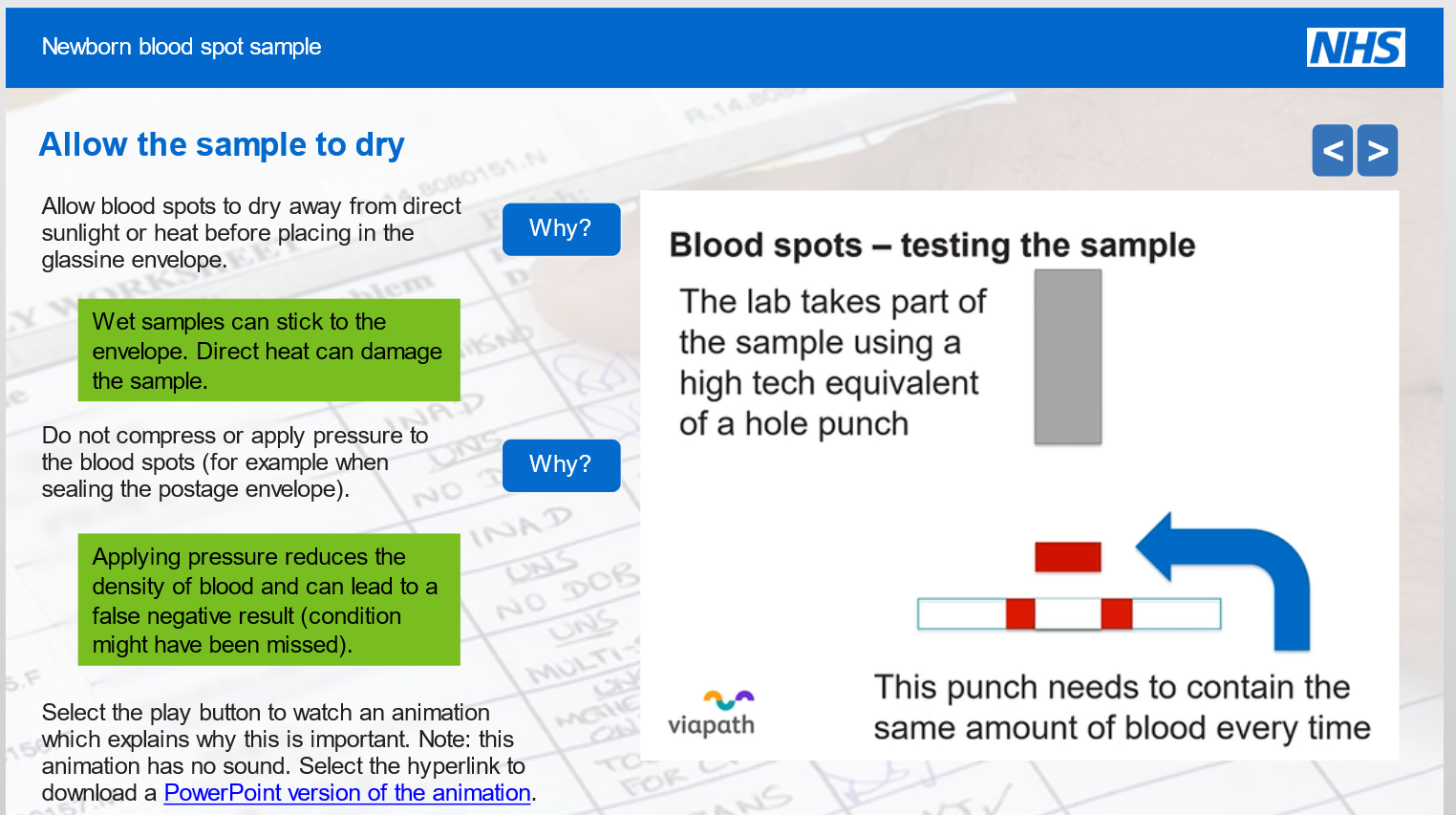 New e-learning on newborn blood spot samples – PHE Screening