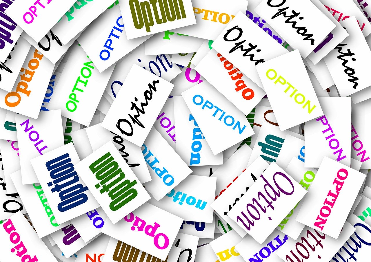 Family origin questionnaire: future options for maternity service ...